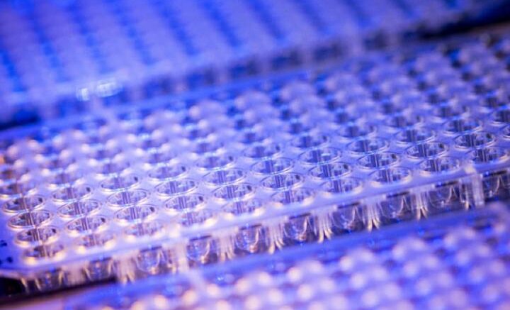 Harnessing Next Generation Sequencing To Detect Sars Cov 2 Healthcare